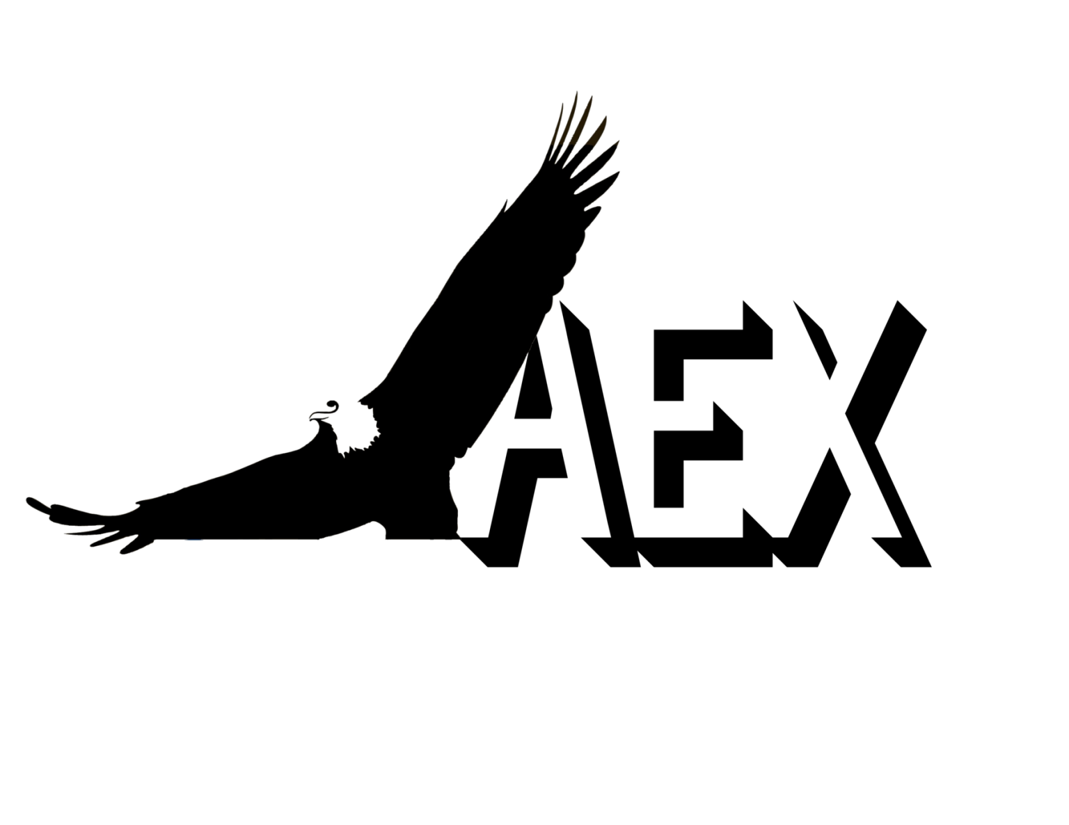 Services | American Eagle Title Insurance Company